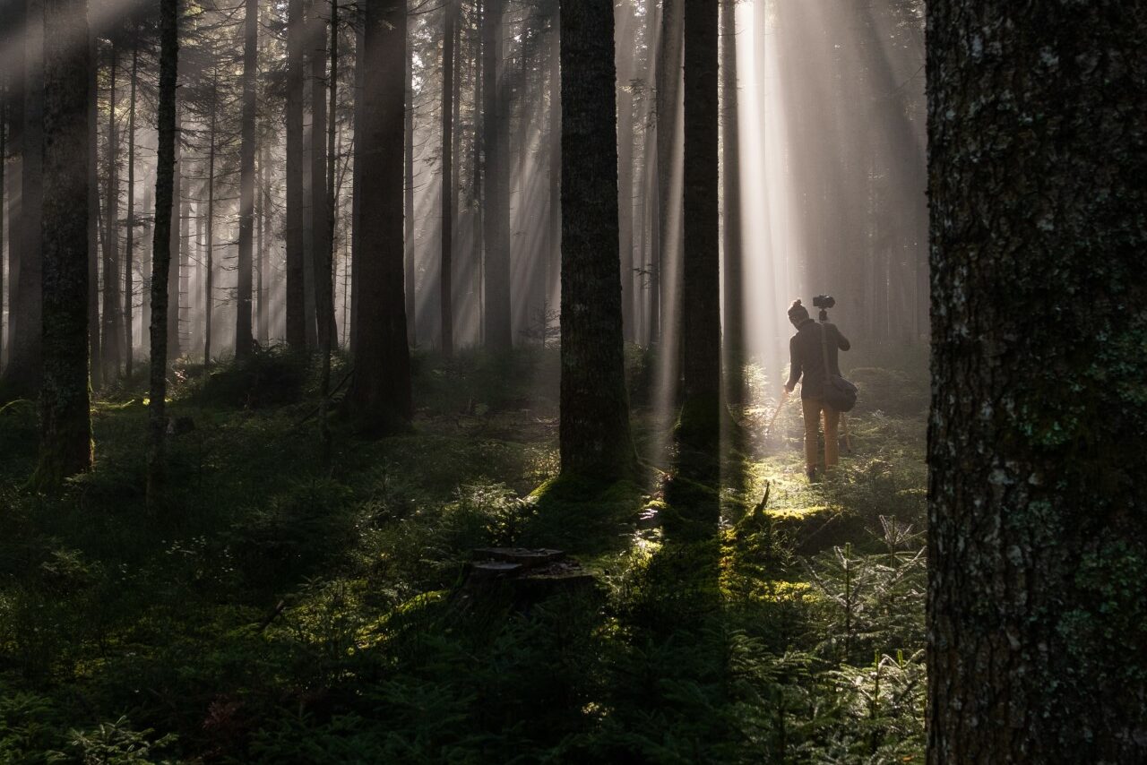 Heimat und Fotografie vom Schwarzwald-Künstler Sebastian Wehrle ...